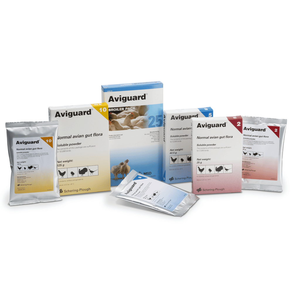 PoultryStar® Sol - St Davids Poultry Team Ireland