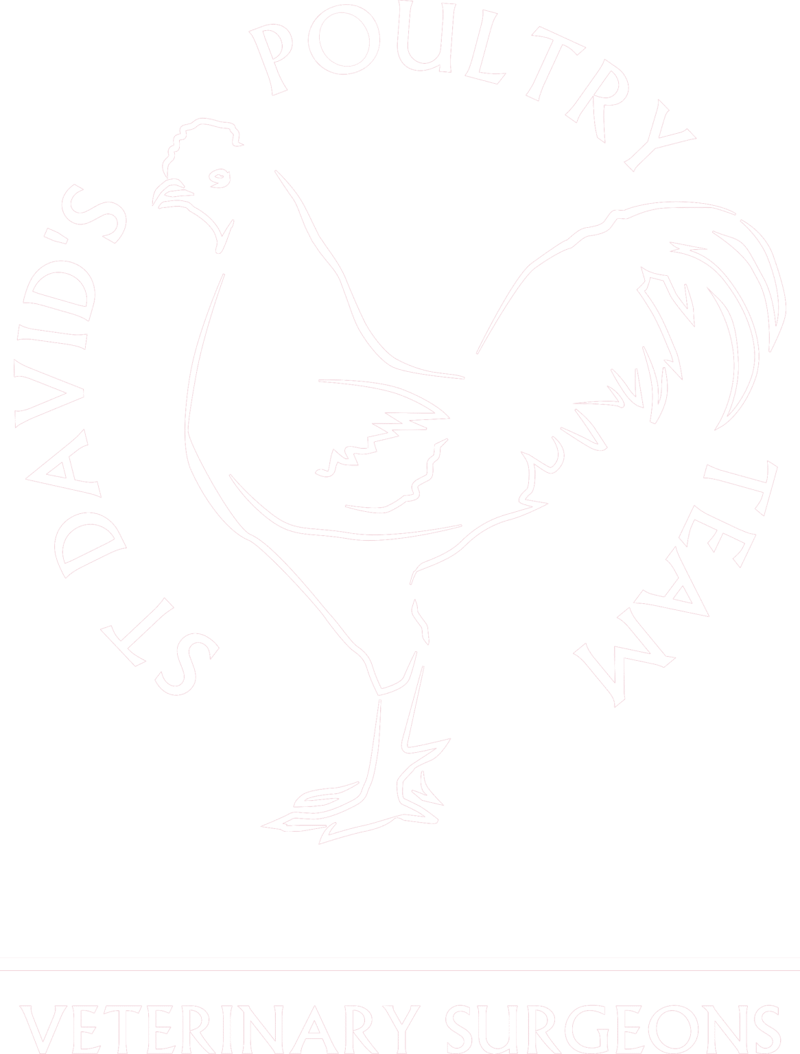 PoultryStar® Sol - St Davids Poultry Team Ireland