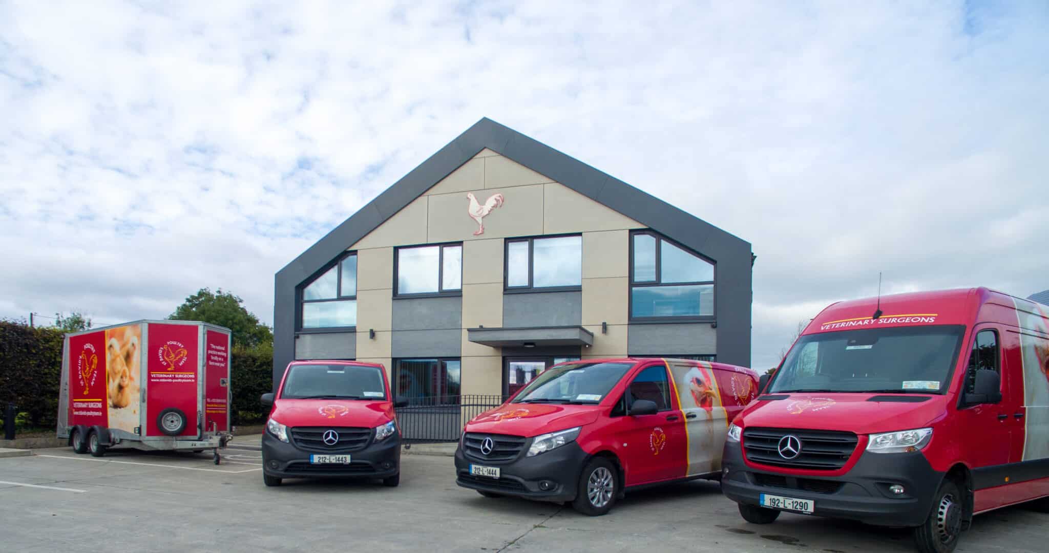 St David's Poultry Team Ireland Homepage