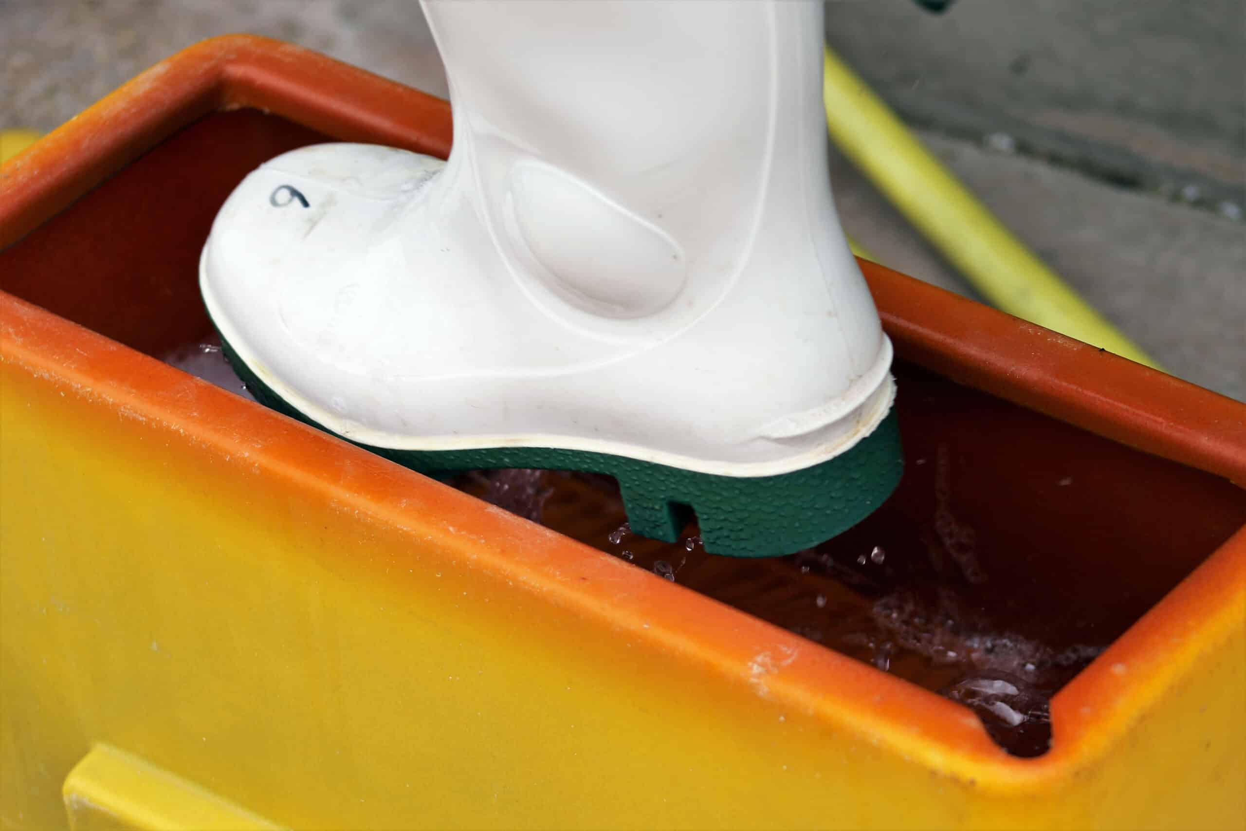 Poultry Supplies - St Davids Poultry Team Ireland