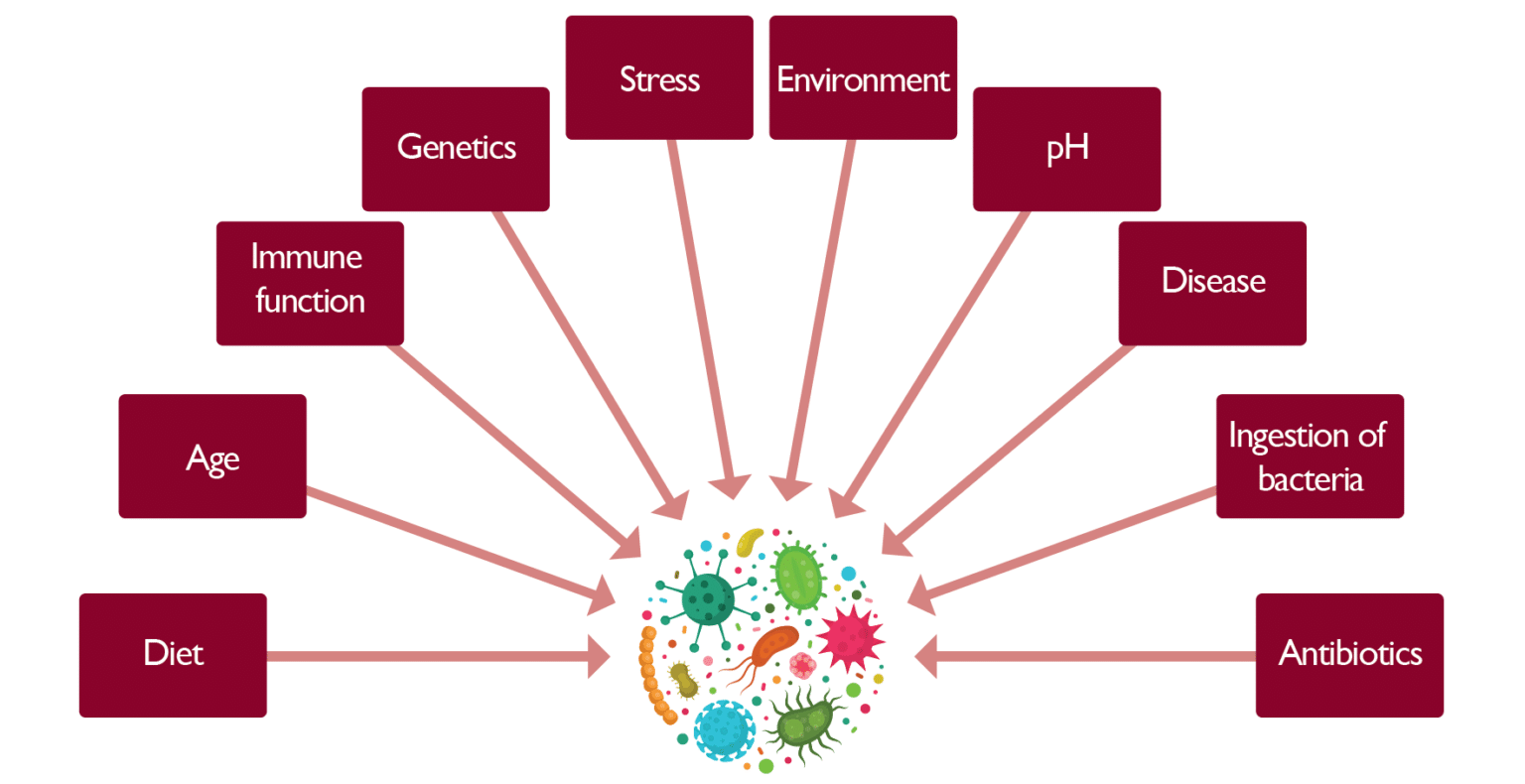 Microbiome management: What does it mean? – St Davids Poultry Team Ireland