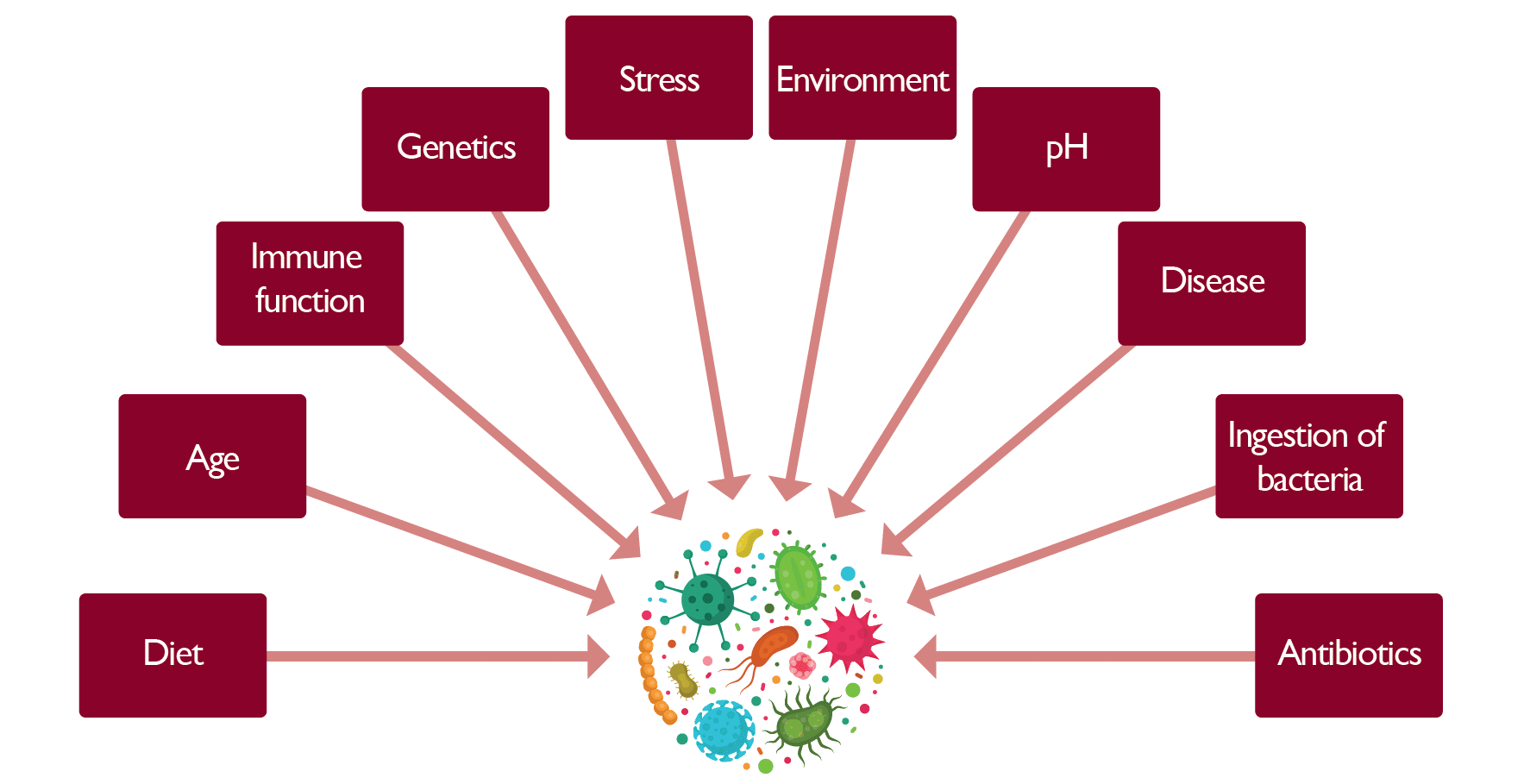 Microbiome management: What does it mean? - St Davids Poultry Team Ireland